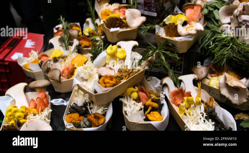 Rustic vegetable display Stock Videos & Footage - HD and 4K Video Clips ...