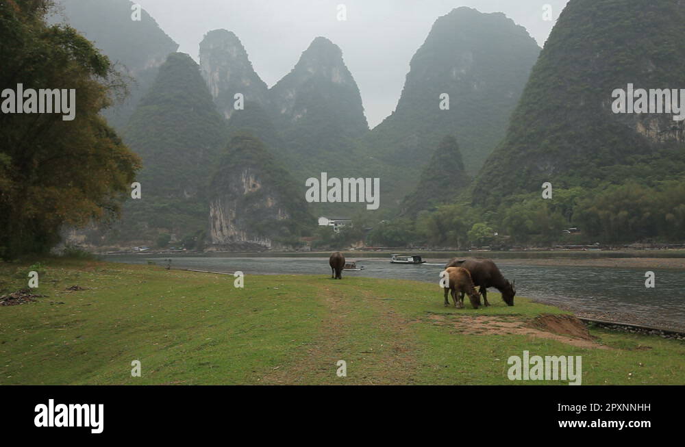 Yangshuo scenery Stock Videos & Footage - HD and 4K Video Clips - Alamy