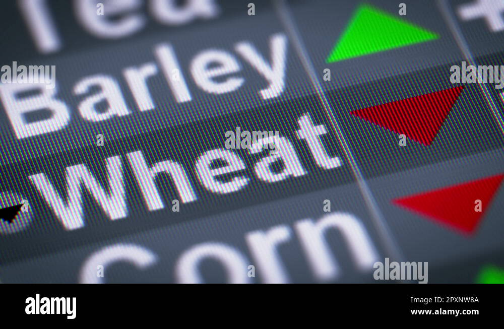 Livestock commodity Stock Videos & Footage - HD and 4K Video Clips - Alamy