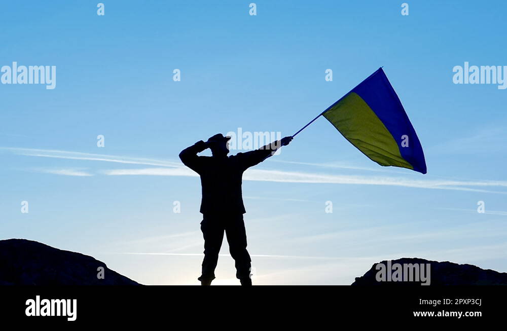 Salute flag airforce Stock Videos & Footage - HD and 4K Video Clips - Alamy