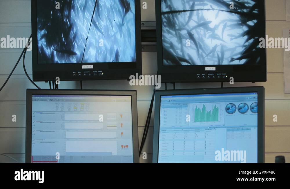 Monitoring point Stock Videos & Footage - HD and 4K Video Clips - Alamy