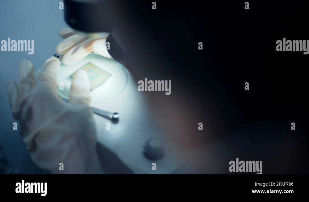 Biology chip Stock Videos & Footage - HD and 4K Video Clips - Alamy