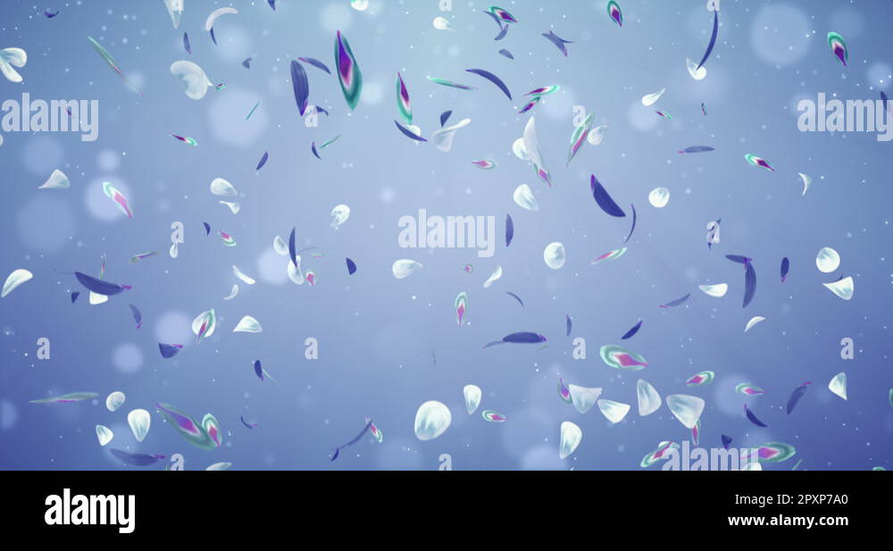 Violet blue petals Stock Videos & Footage - HD and 4K Video Clips - Alamy