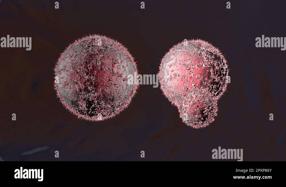 3D rendered Animation of a Cancer Cell replication Stock Video Footage ...