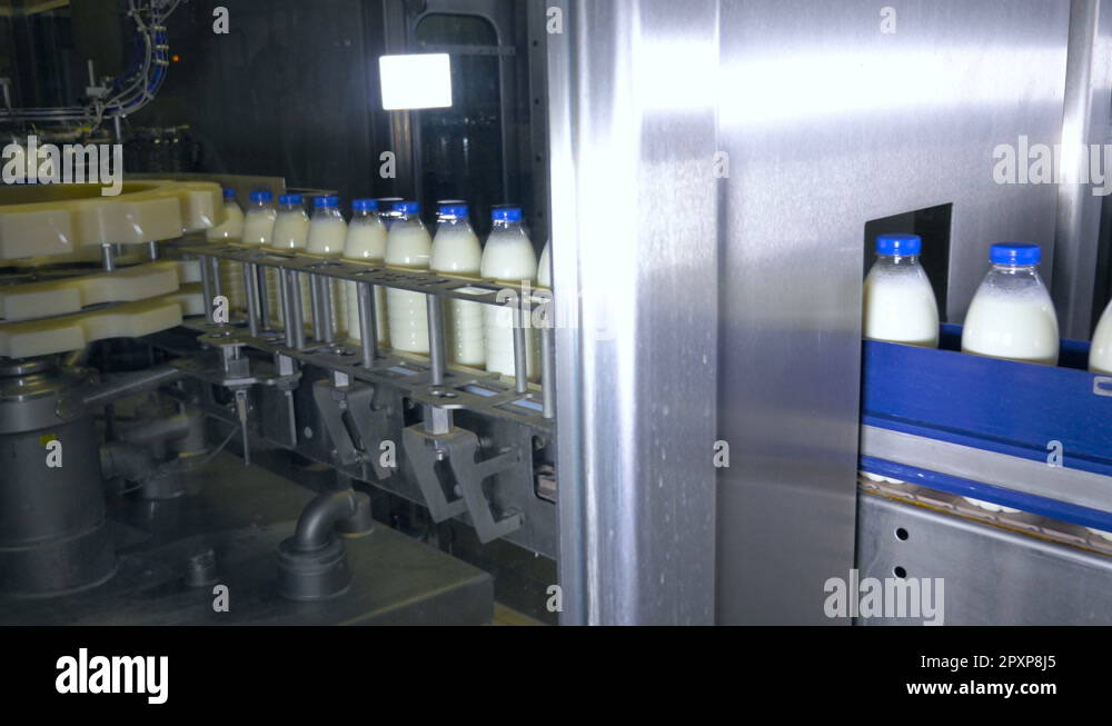 Fresh dairy products, bottles moving on a conveyor. Milk products plant ...