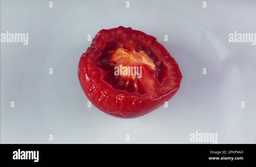 Decaying rotten tomato Stock Videos & Footage - HD and 4K Video Clips ...