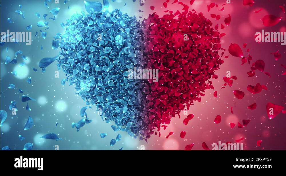 Red and Blue Rose Flower Falling Petals Love Heart Wedding Background ...