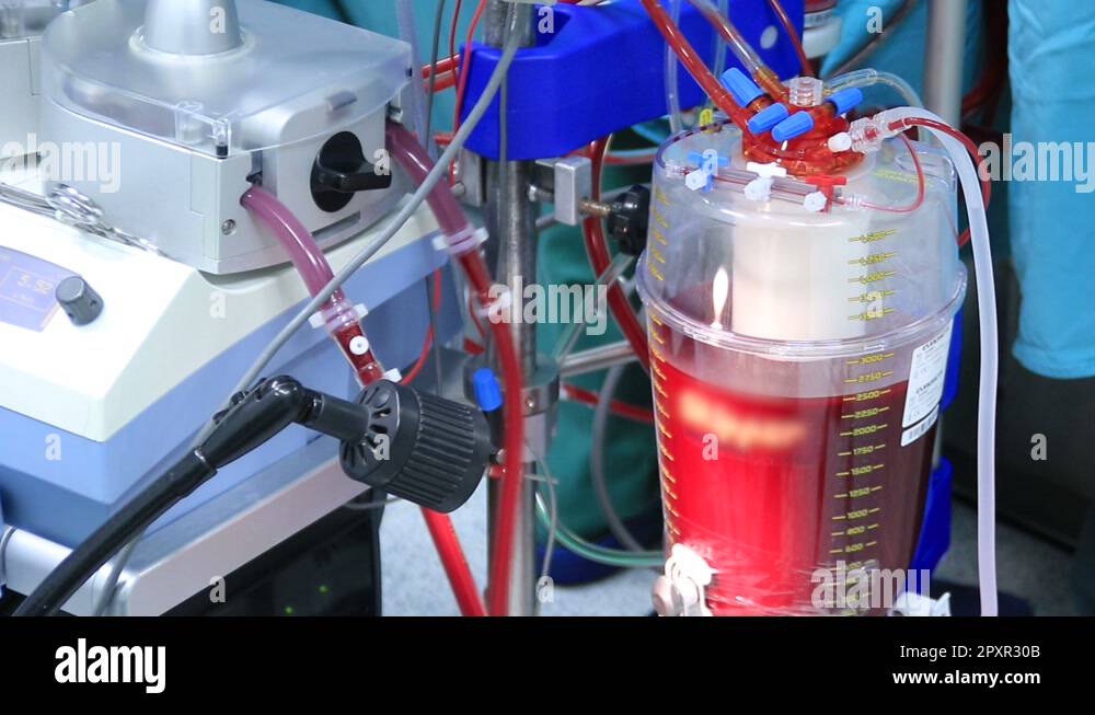 Cardiopulmonary system Stock Videos & Footage - HD and 4K Video Clips ...