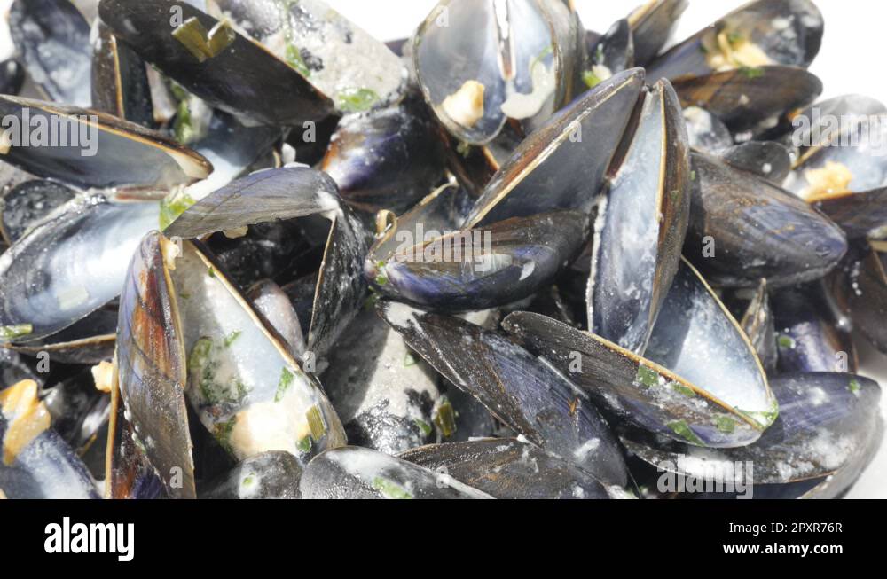 Blue mussel shells mytilus edulis Stock Videos & Footage - HD and 4K ...