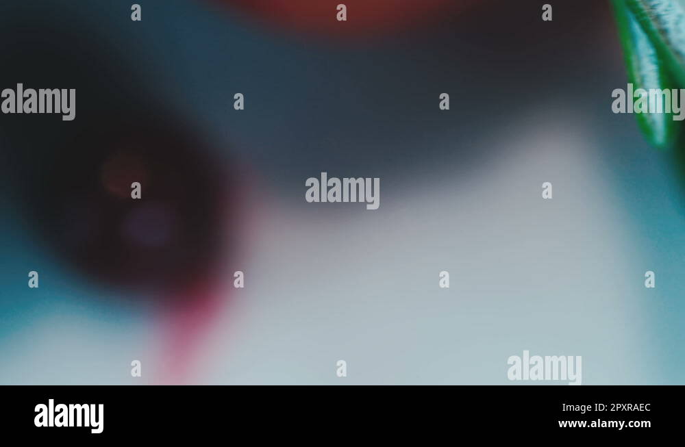 Layout light table Stock Videos & Footage - HD and 4K Video Clips - Alamy