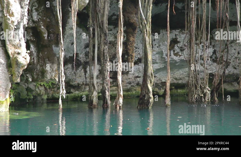 cenote sinkhole mexico wonder clear water Stock Video Footage - Alamy