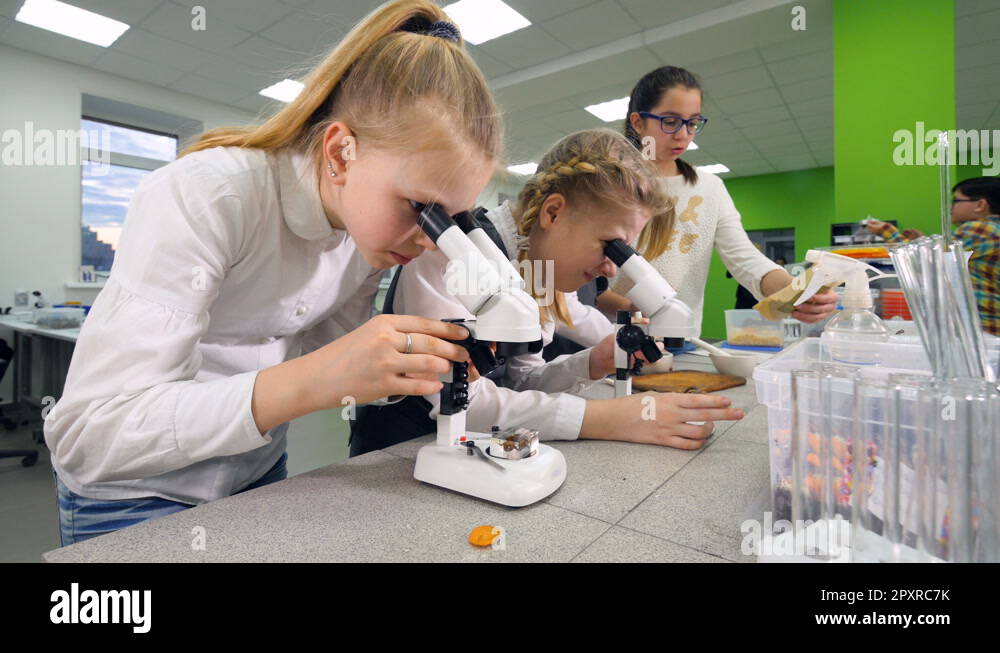 Learning about insects Stock Videos & Footage - HD and 4K Video Clips ...