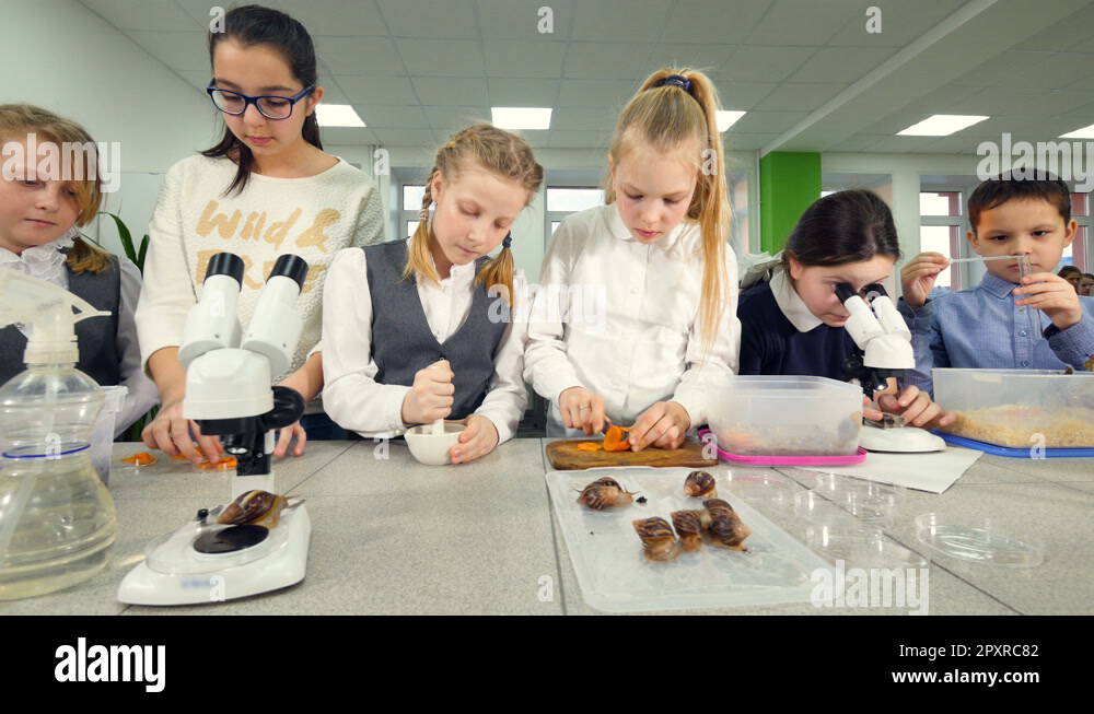Children science experiments class Stock Videos & Footage - HD and 4K ...