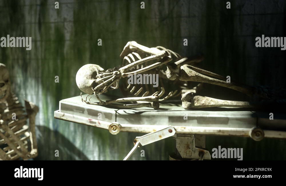 Scary skeletons in old hospital, morgue. Apocalypse horror concept ...