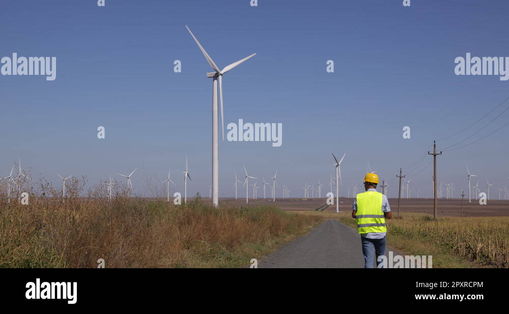 Field inspection Stock Videos & Footage - HD and 4K Video Clips - Alamy