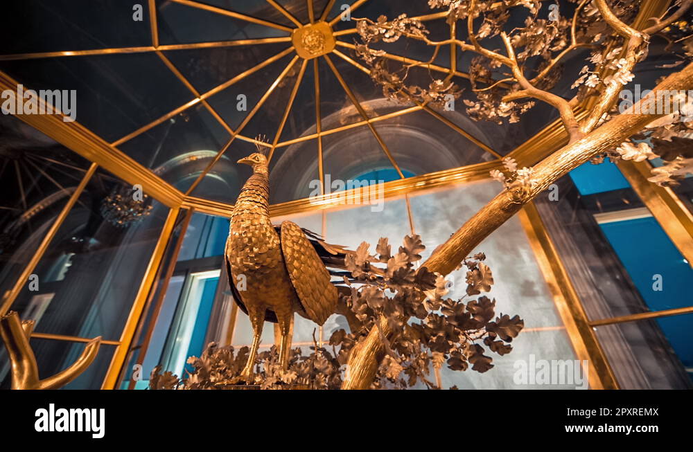 Peacock hall Stock Videos & Footage - HD and 4K Video Clips - Alamy