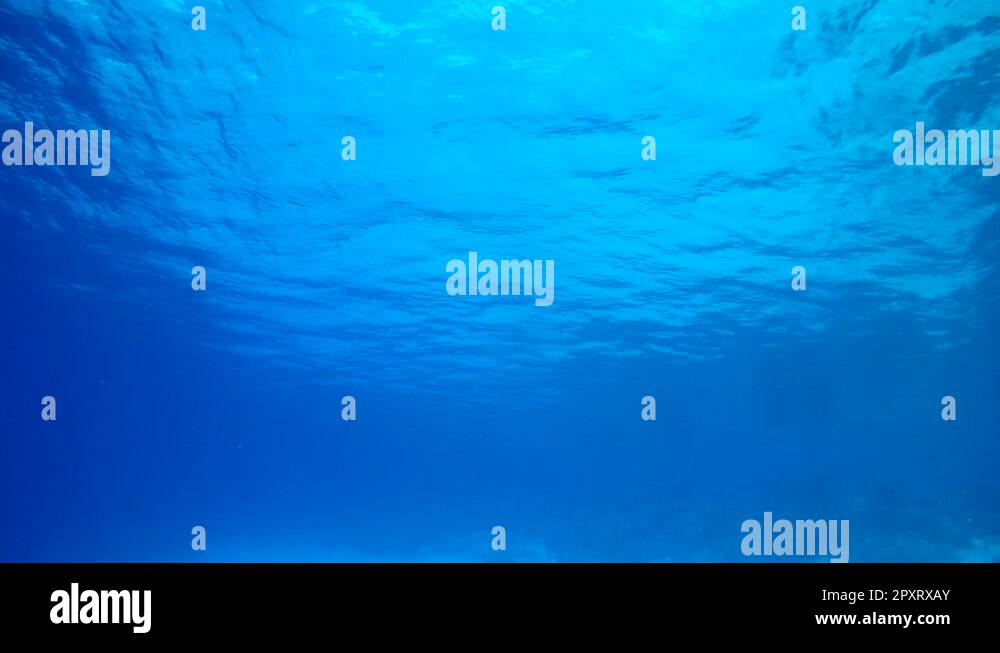 Surface of blue water and sandy bottom in shallow water, Indian Ocean ...