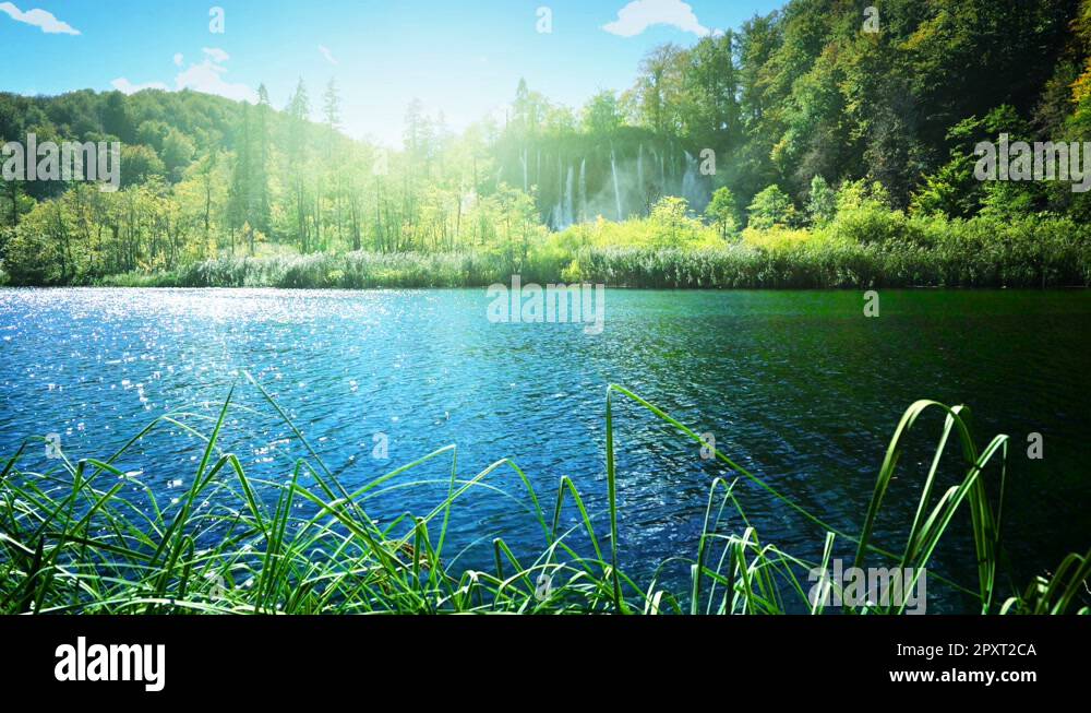 Lake in deep forest Stock Videos & Footage - HD and 4K Video Clips - Alamy