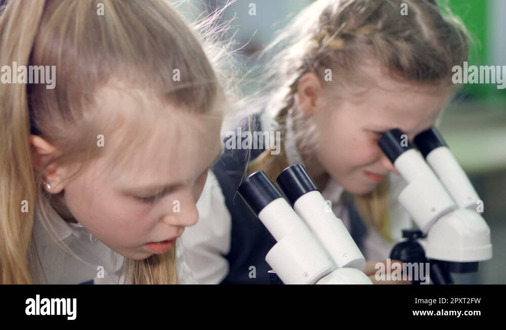 Elementary girls science Stock Videos & Footage - HD and 4K Video Clips ...