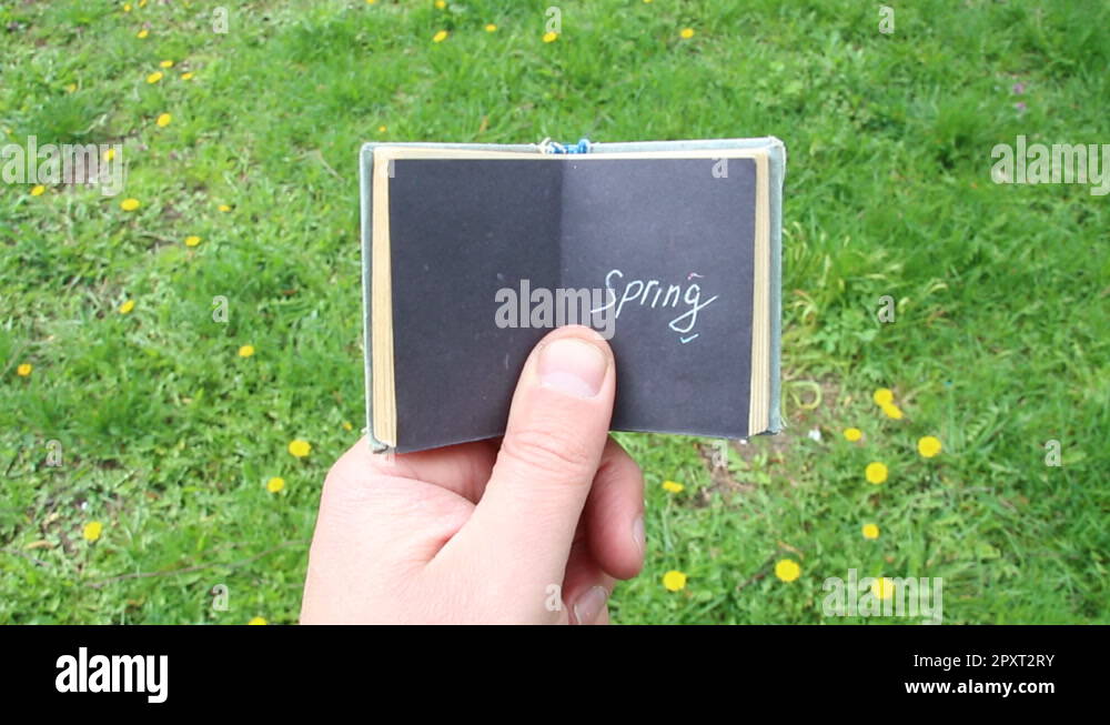 Background book text Stock Videos & Footage - HD and 4K Video Clips - Alamy