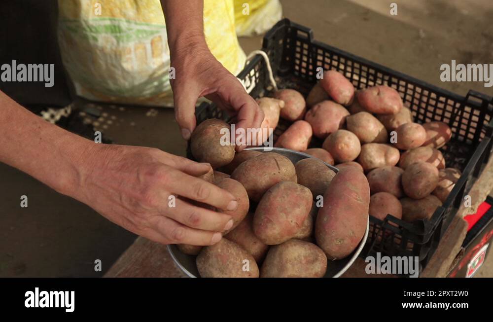 Potato scales Stock Videos & Footage - HD and 4K Video Clips - Alamy