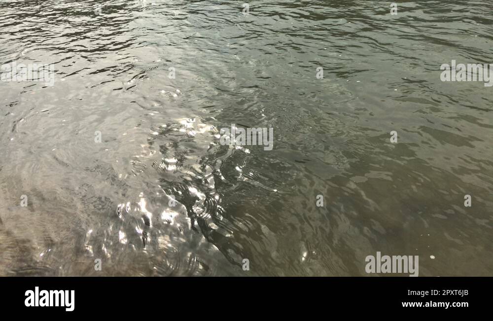 Reflective waterscape Stock Videos & Footage - HD and 4K Video Clips ...