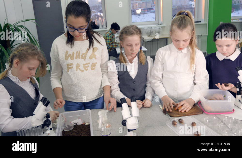 Science experiment for children Stock Videos & Footage - HD and 4K ...