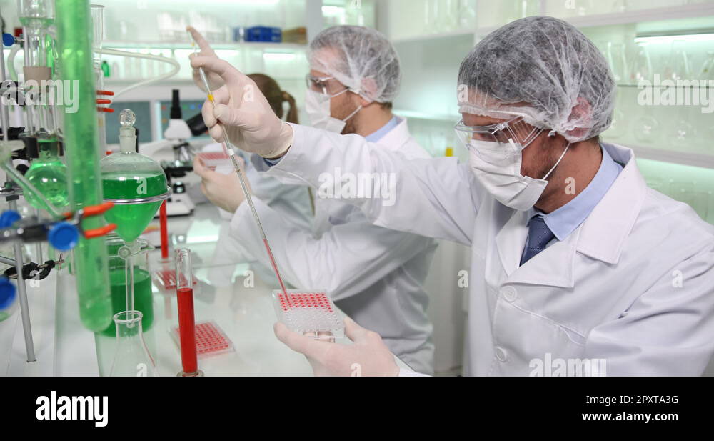 Chemist Men Using Micro Pipette Pouring Sample Liquid in Micro Plate ...