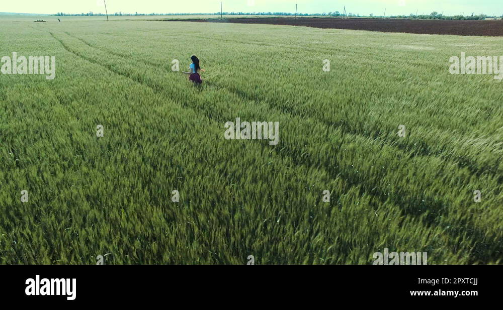 Young woman running through wheat Stock Videos & Footage - HD and 4K ...