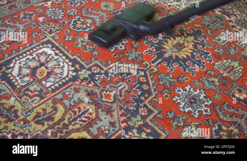 Vacuuming the red carpet Stock Videos & Footage - HD and 4K Video Clips ...