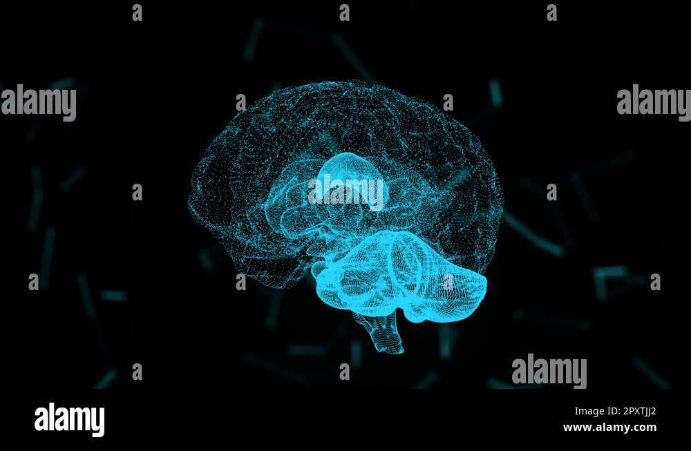 medical animation of a human brain. X-ray style image of brain. Human ...