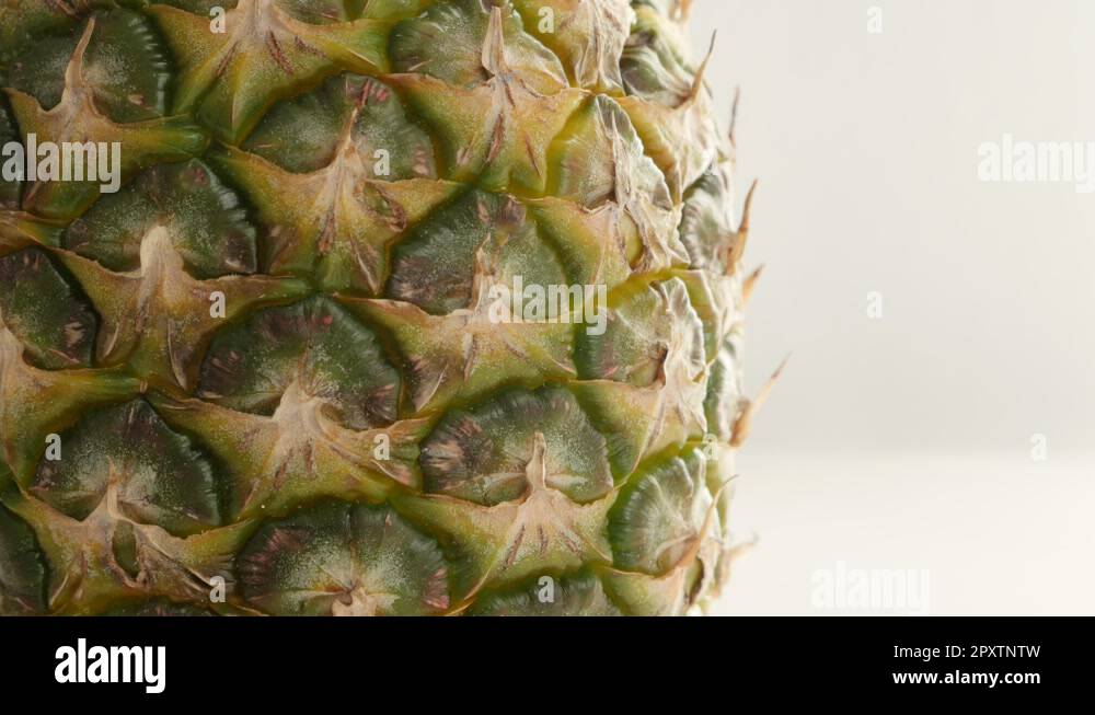 Ananas comosus Stock Videos & Footage - HD and 4K Video Clips - Alamy