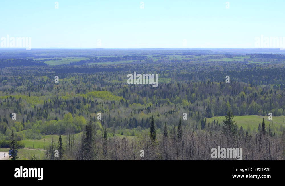 Panorama taiga Stock Videos & Footage - HD and 4K Video Clips - Alamy