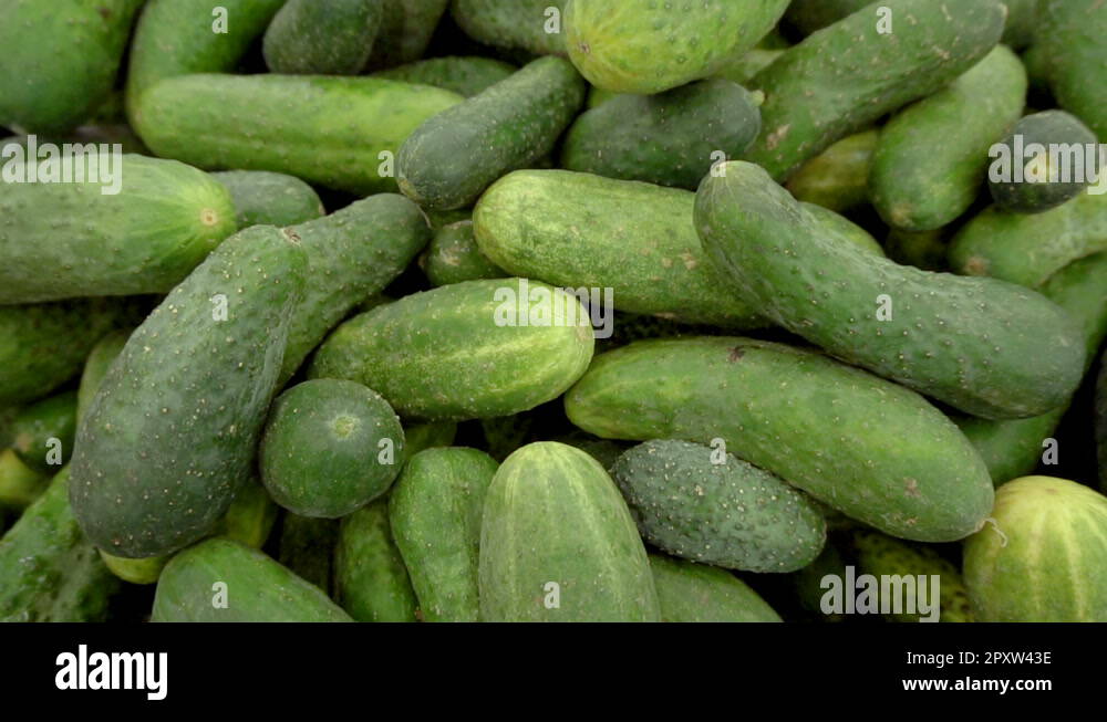 Gherkin market Stock Videos & Footage - HD and 4K Video Clips - Alamy