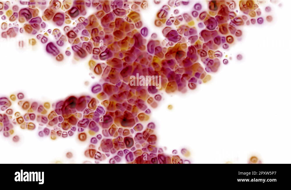 virus and stem cells,bubble and herpes under microscope.abstract ...