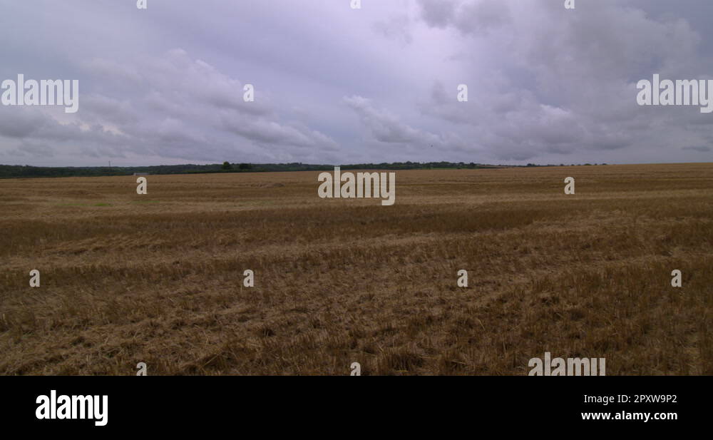 Field ireland wheat Stock Videos & Footage - HD and 4K Video Clips - Alamy
