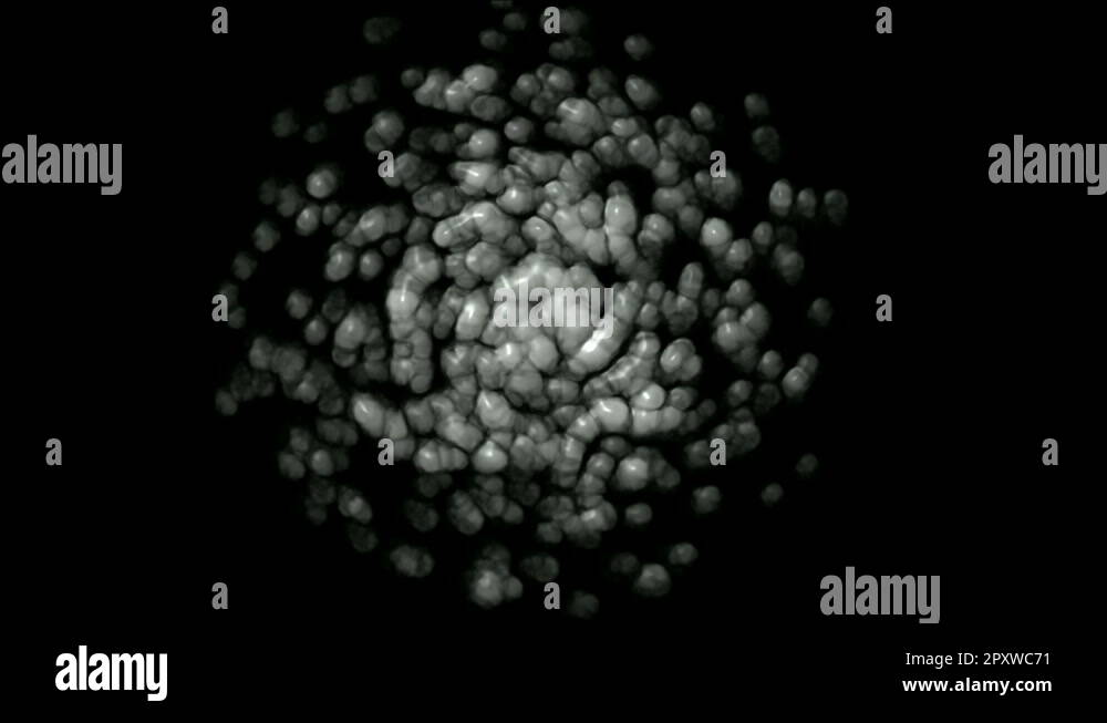 animation of gray cells,virus,spawn.Mixing,blending,cells,alveolus ...