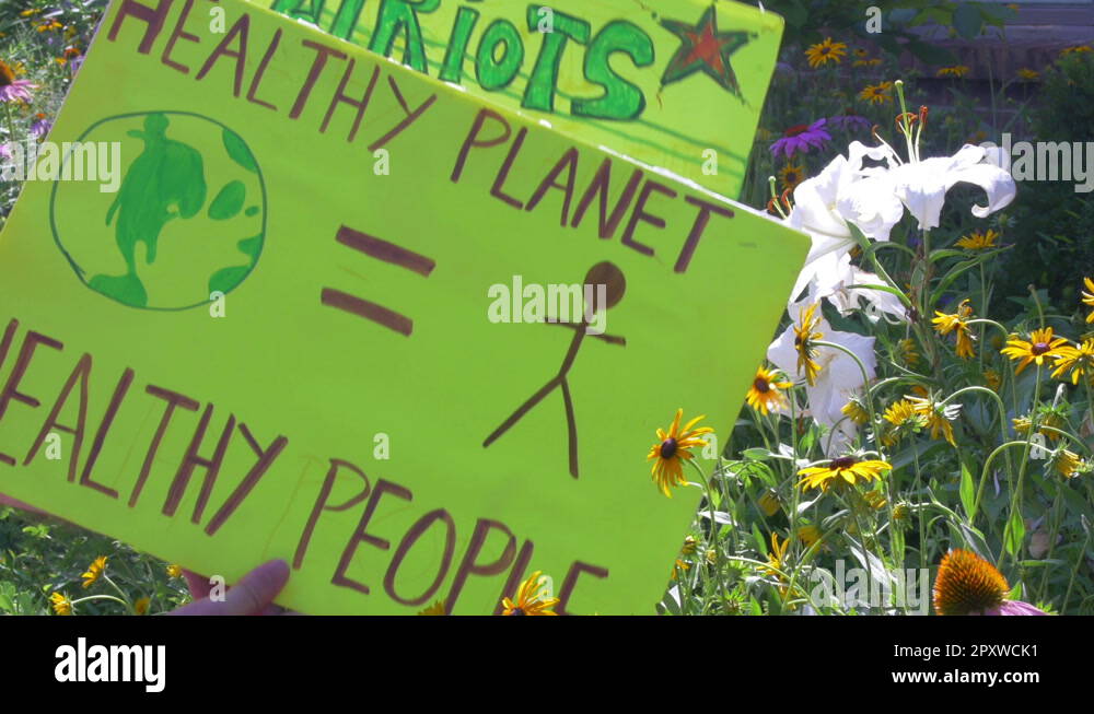 Protest signs Stock Videos & Footage - HD and 4K Video Clips - Alamy