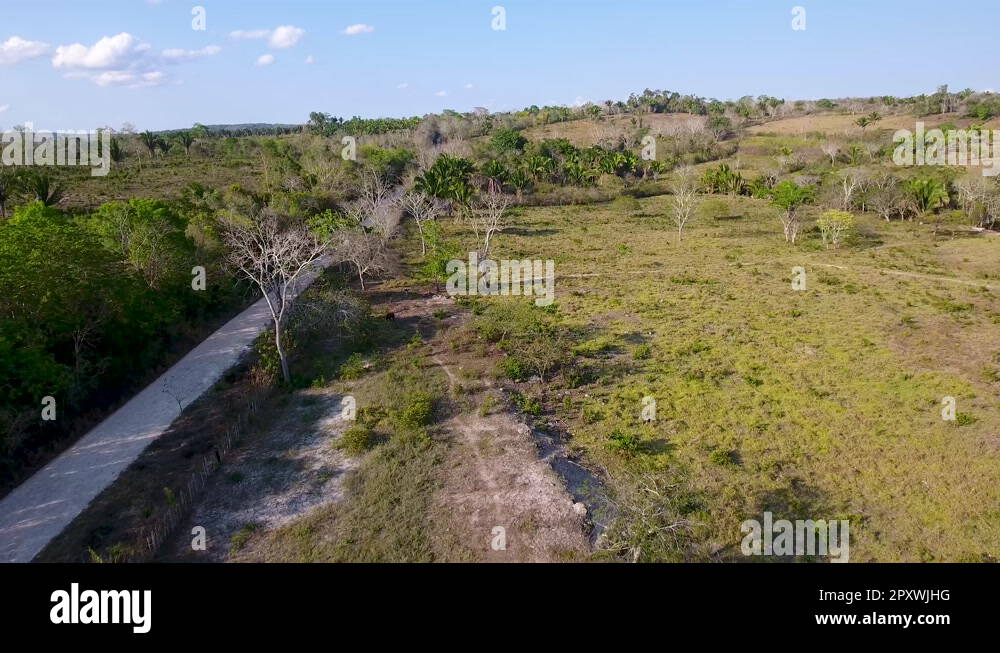 Guatemalan farms Stock Videos & Footage - HD and 4K Video Clips - Alamy
