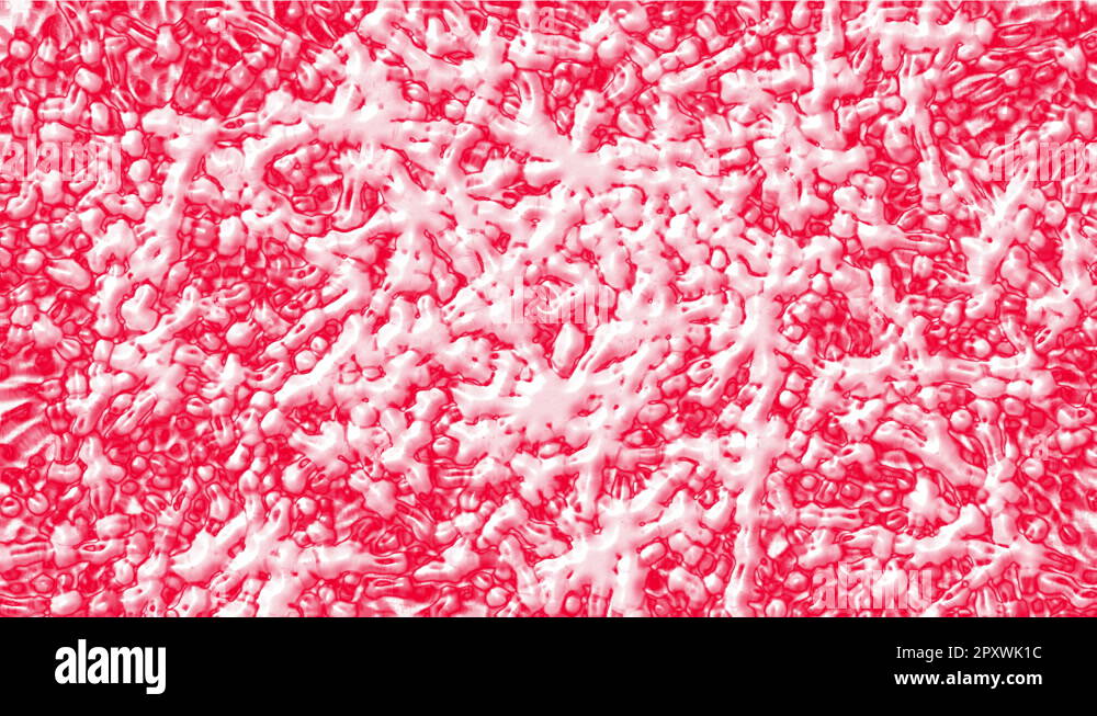 Red algae cells Stock Videos & Footage - HD and 4K Video Clips - Alamy