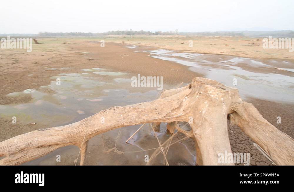 Metaphor drought Stock Videos & Footage - HD and 4K Video Clips - Alamy