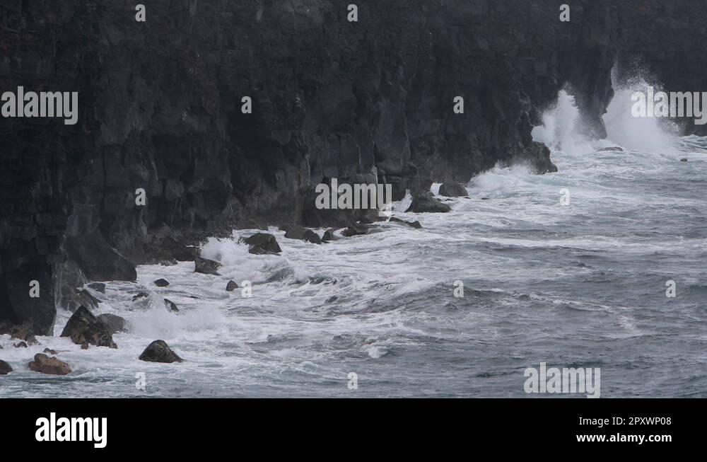 Lava rock ecosystem Stock Videos & Footage - HD and 4K Video Clips - Alamy