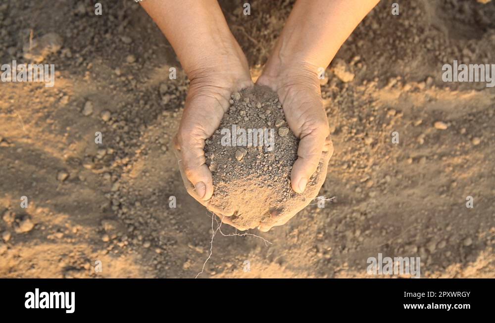 Hold soil Stock Videos & Footage - HD and 4K Video Clips - Alamy