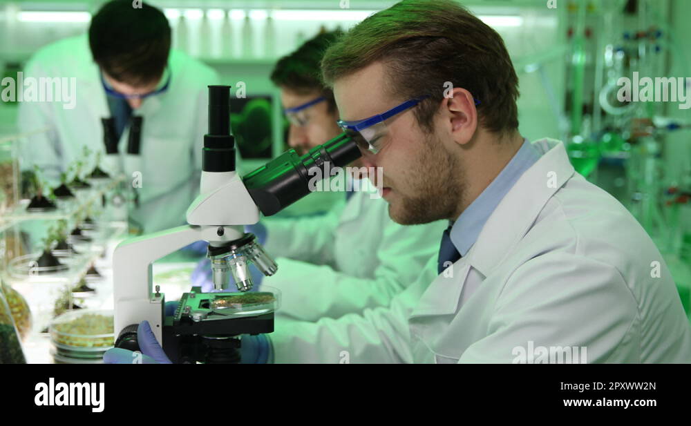 Healthcare Facility Researchers Men Examining on Microscope Medical ...