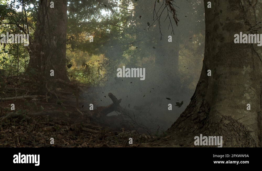 WW2 to Vietnam War Recreation - Foxhole blown up by throw Grenade Stock ...