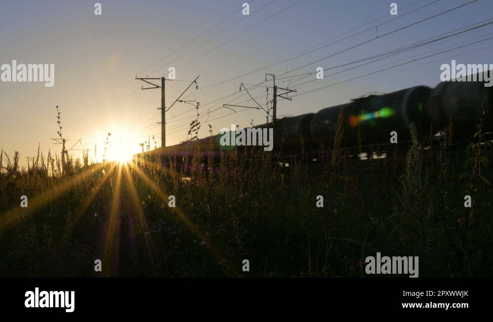 Bee train Stock Videos & Footage - HD and 4K Video Clips - Alamy