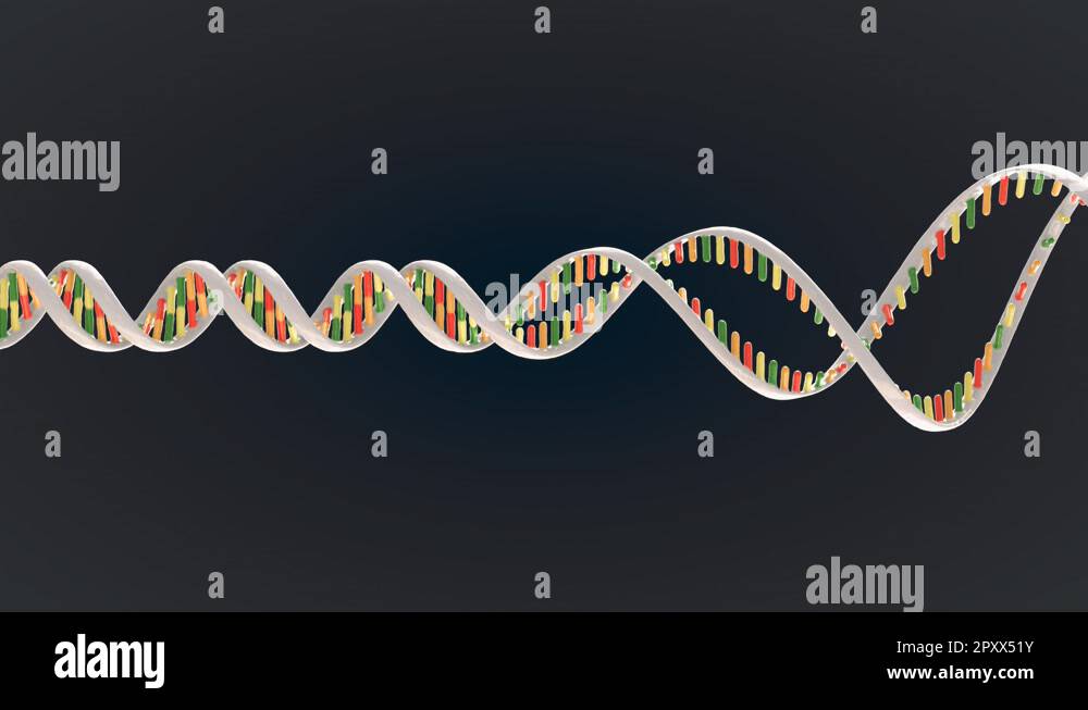 Dna replication Stock Videos & Footage - HD and 4K Video Clips - Alamy