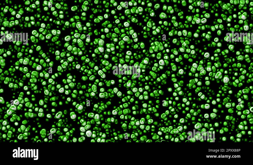 Cell light Stock Videos & Footage - HD and 4K Video Clips - Alamy