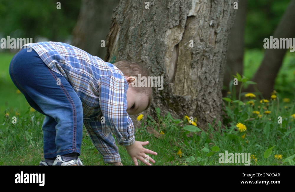 Boy running around grass Stock Videos & Footage - HD and 4K Video Clips ...