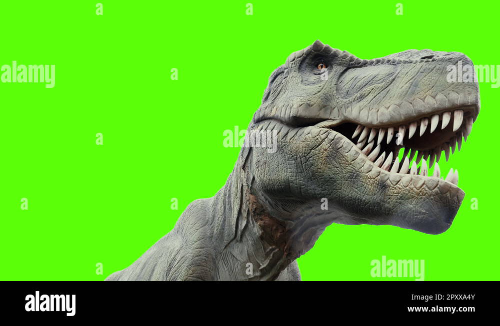 Tyrannosaur T-Rex Explore the Territory. Green Screen Chromakey ...